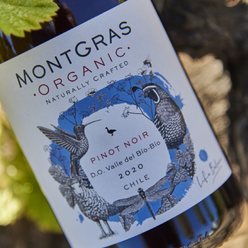 Vinho Chileno MONTGRAS Organic Pinot Noir 750ml - Divvino